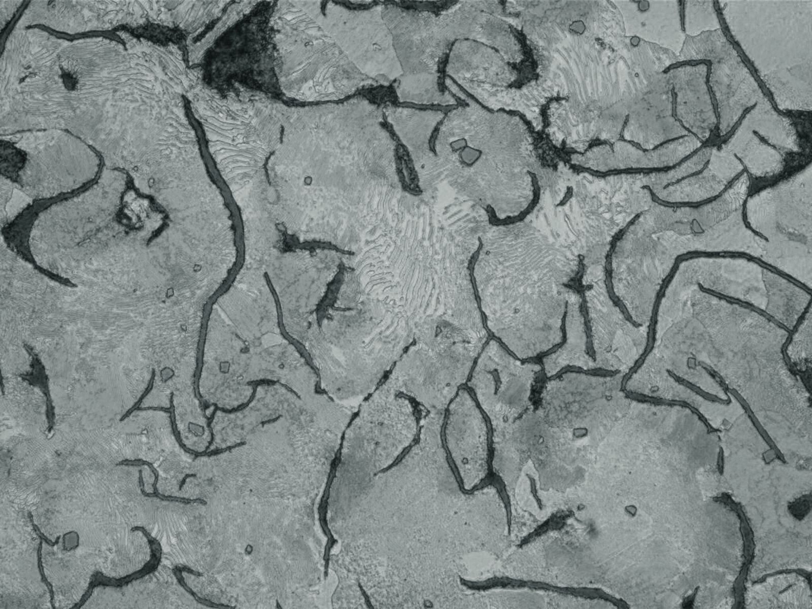 Metallographic Etching: Key Techniques, Safety Tips & Choosing the ...